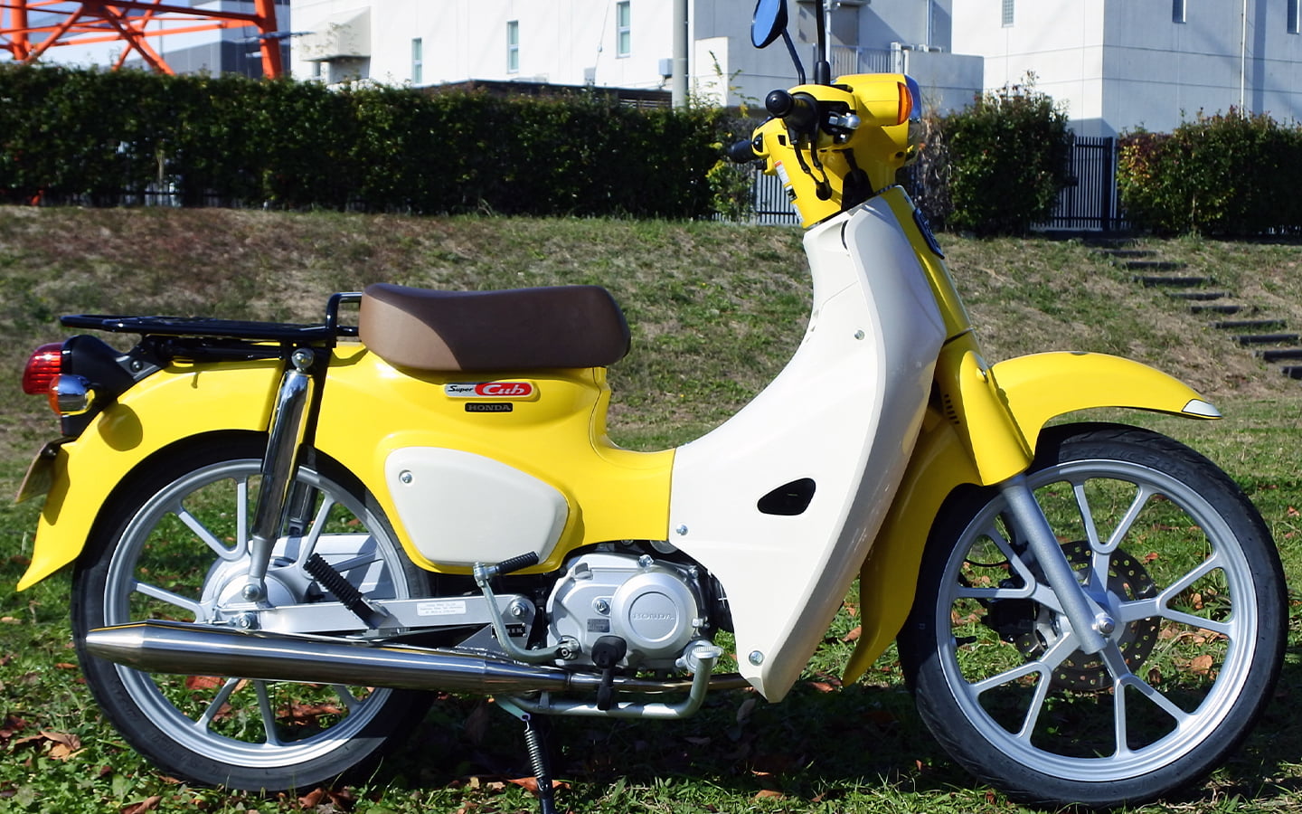 ZEEKクラシックスポーツマフラー静蘭【SEIRAN】 | ZEEK JAPAN